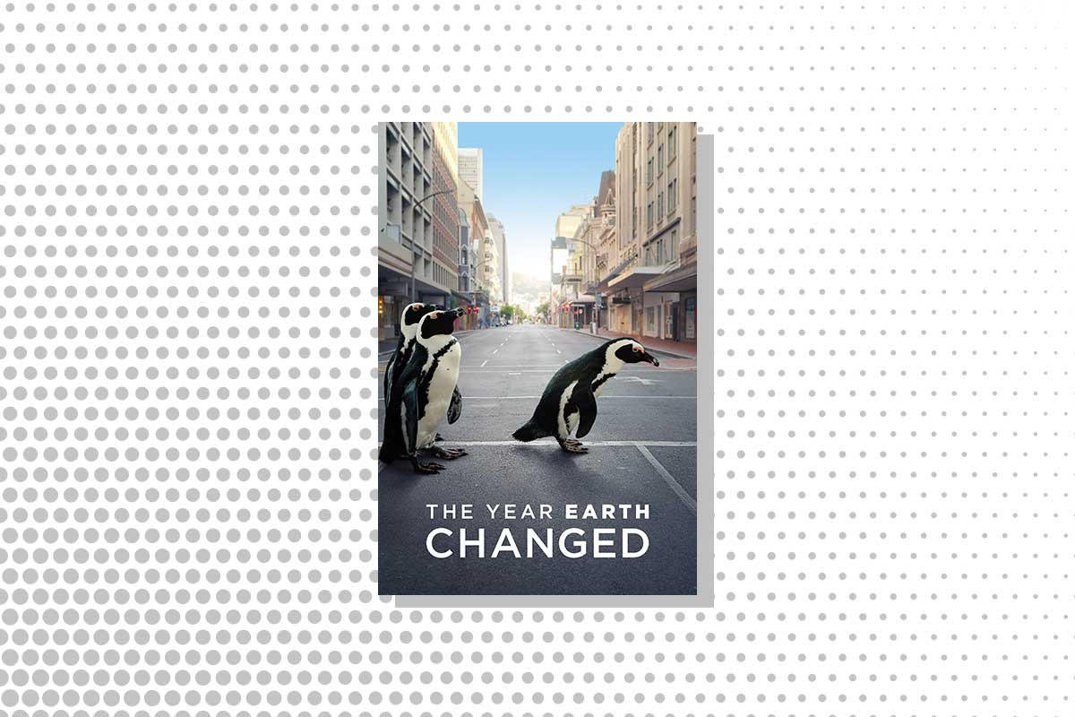 'The Year Earth Changed' Review (NO SPOILERS) - Very Obsessed